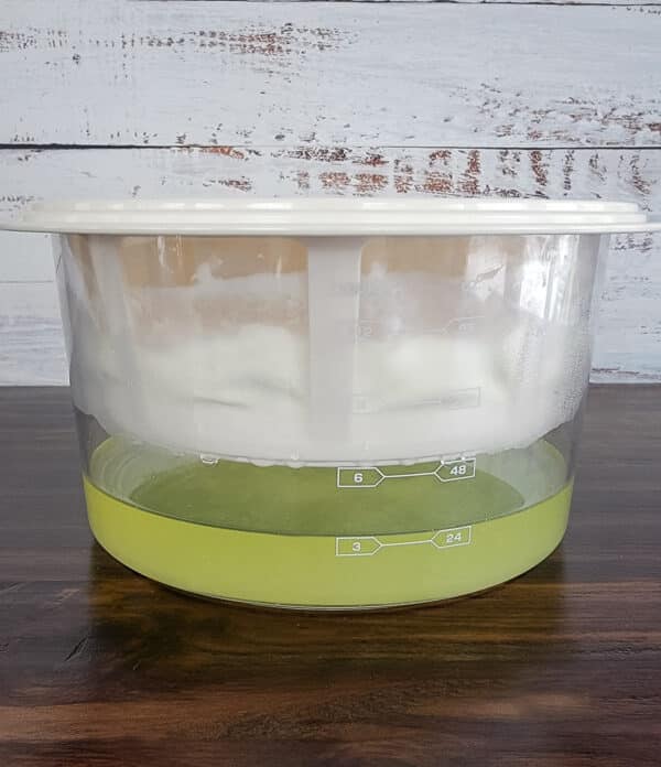 Greek Yogurt: Thick, velvety 2 ingredient recipe! | Savoring Today